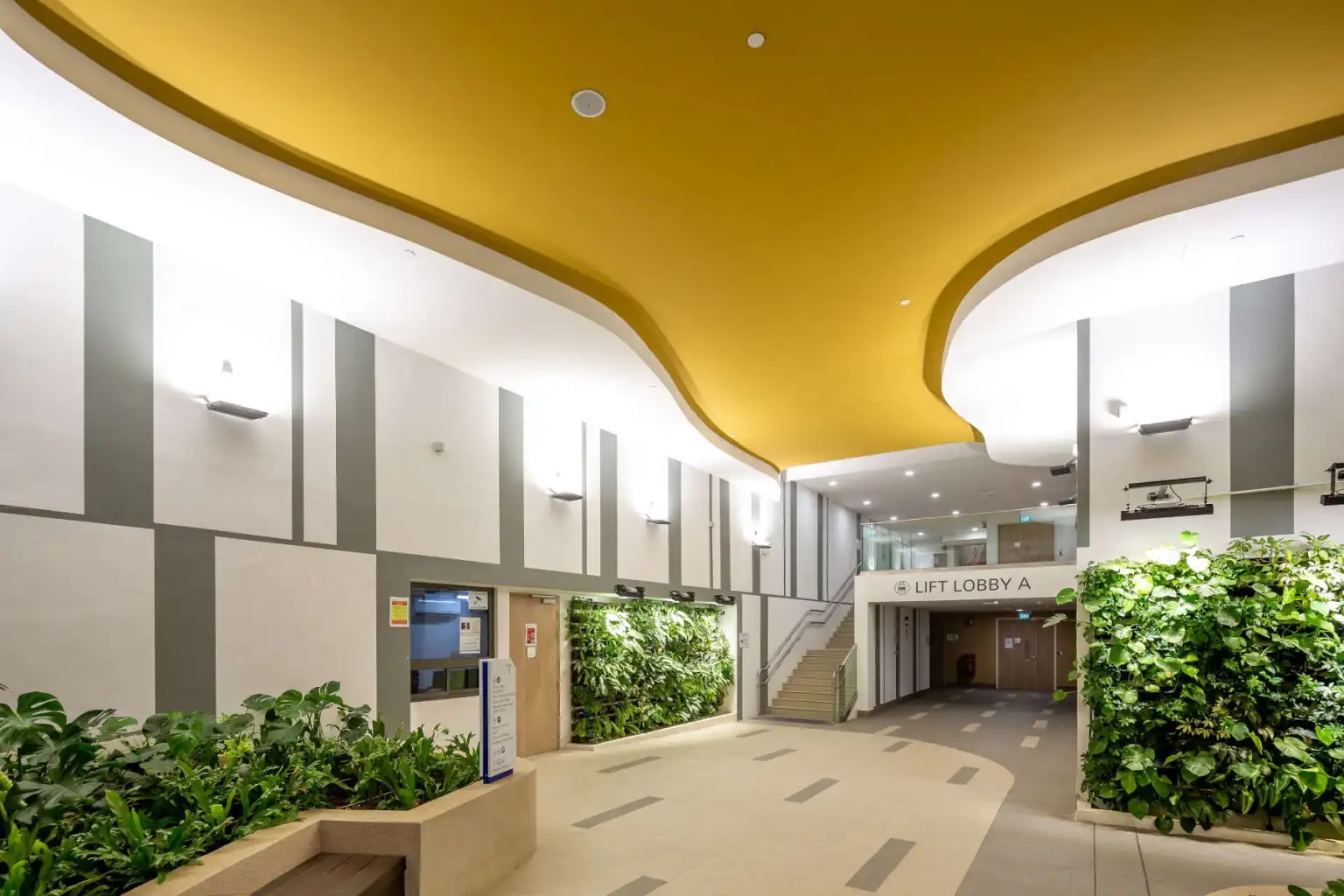 The Humanistic Mission of Architecture | Insights